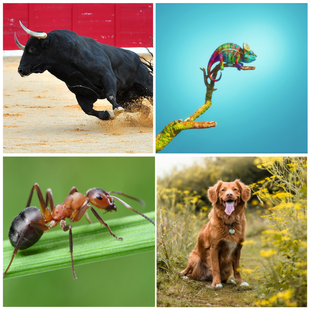 Trauma Responses For Characters - FightWrite