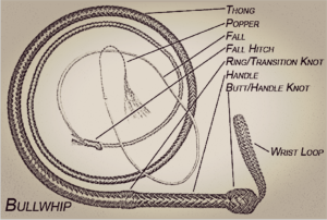 Bullwhips Use & Bullwhip Injuries - FightWrite